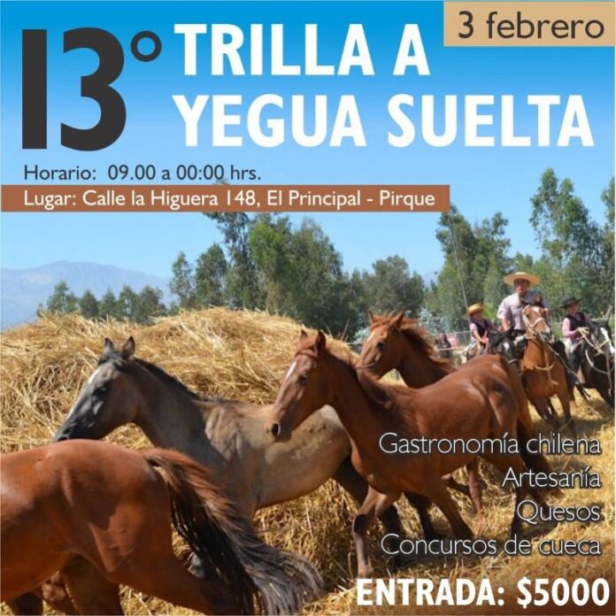 13ª Trilla A Yegua Suelta En Pirque