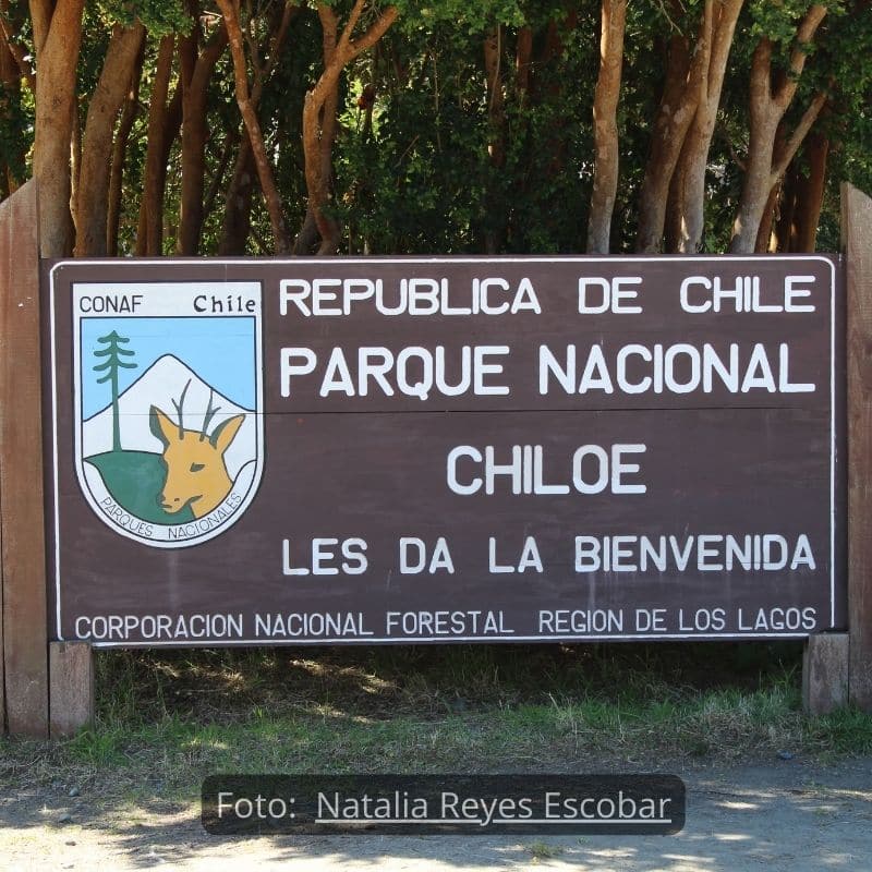 Parque Nacional De Chiloé: Guía Completa Para Tu Visita