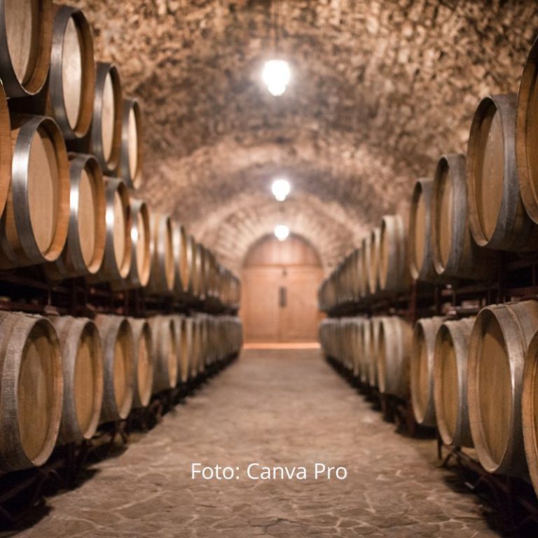 Turismo En Molina: Las 5 Viñas Imperdibles En Tu Visita